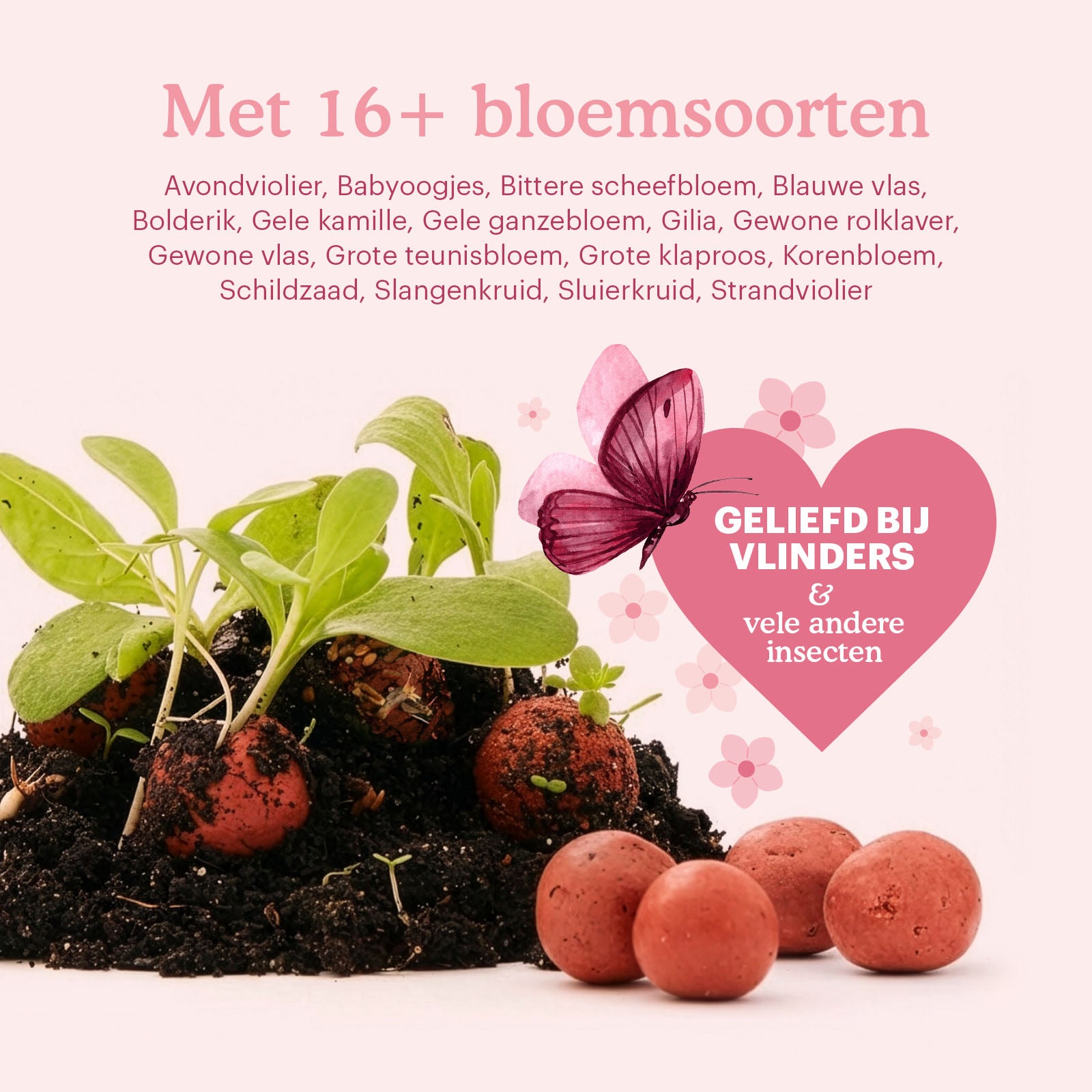 Let Love Grow - Bloembommetjes - 12 stuks | Joyfields – Mulder Retail
