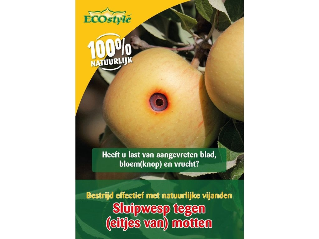 ECOStyle Sluipwesp tegen eitjes van motten – Mulder Retail B.V.