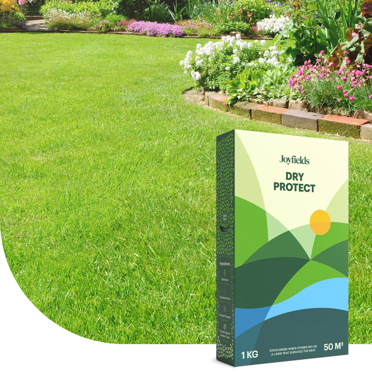 Dry Protect – Droogtebestendig graszaad | Joyfields – Mulder Retail B.V.